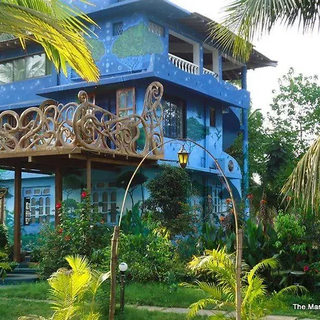 Golden Bird Heritage Arpora • India